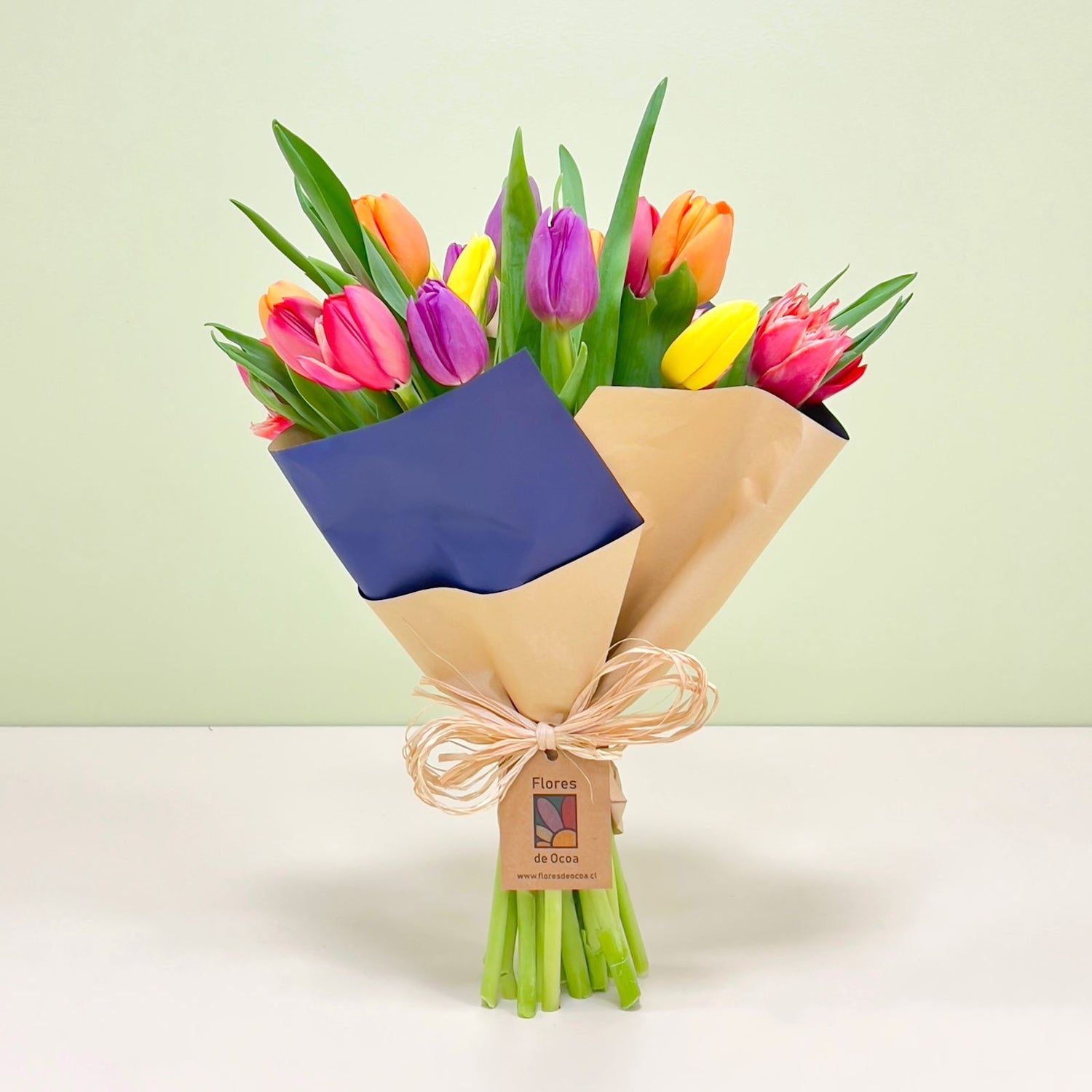 Ramos de Flores | Despacho RM | Flores de ocoa