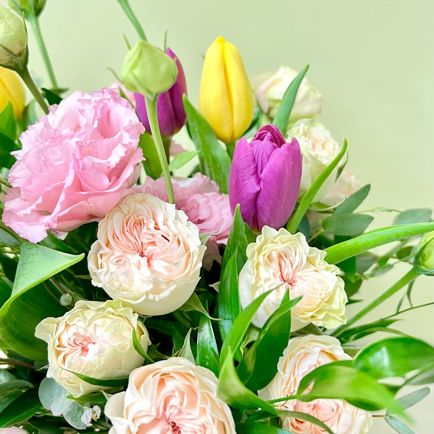 Especial Tulipanes | Despacho a domicilio RM | Flores de ocoa