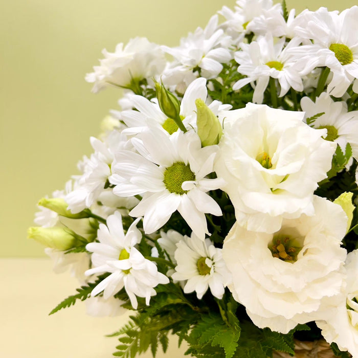 Arreglos florales en canasto | Despacho RM | Flores de ocoa