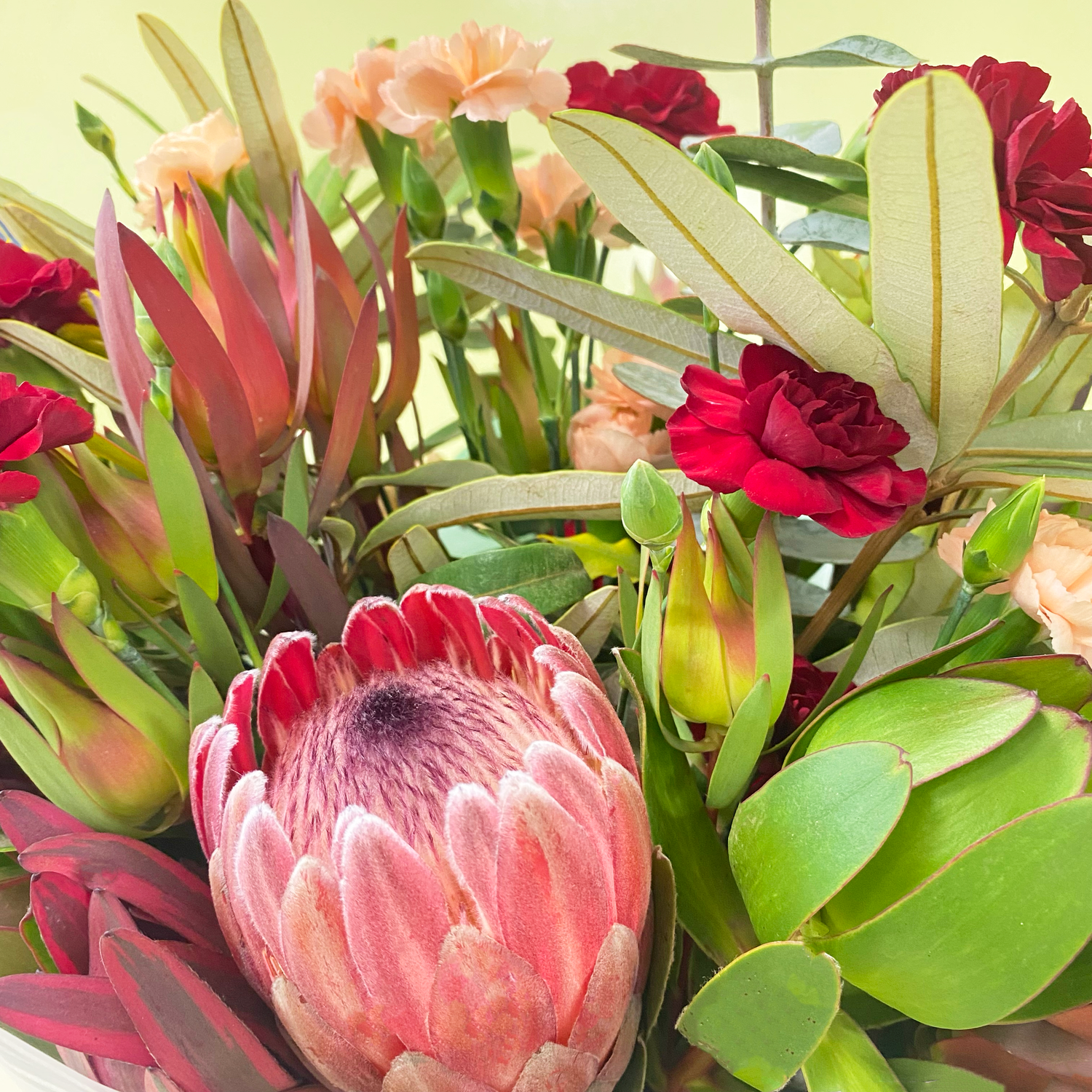 Ramos de Flores | Despacho RM | Flores de ocoa