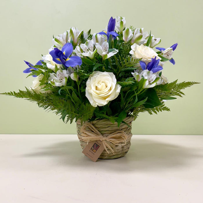 ARREGLOS DE FLORES | Flores de ocoa