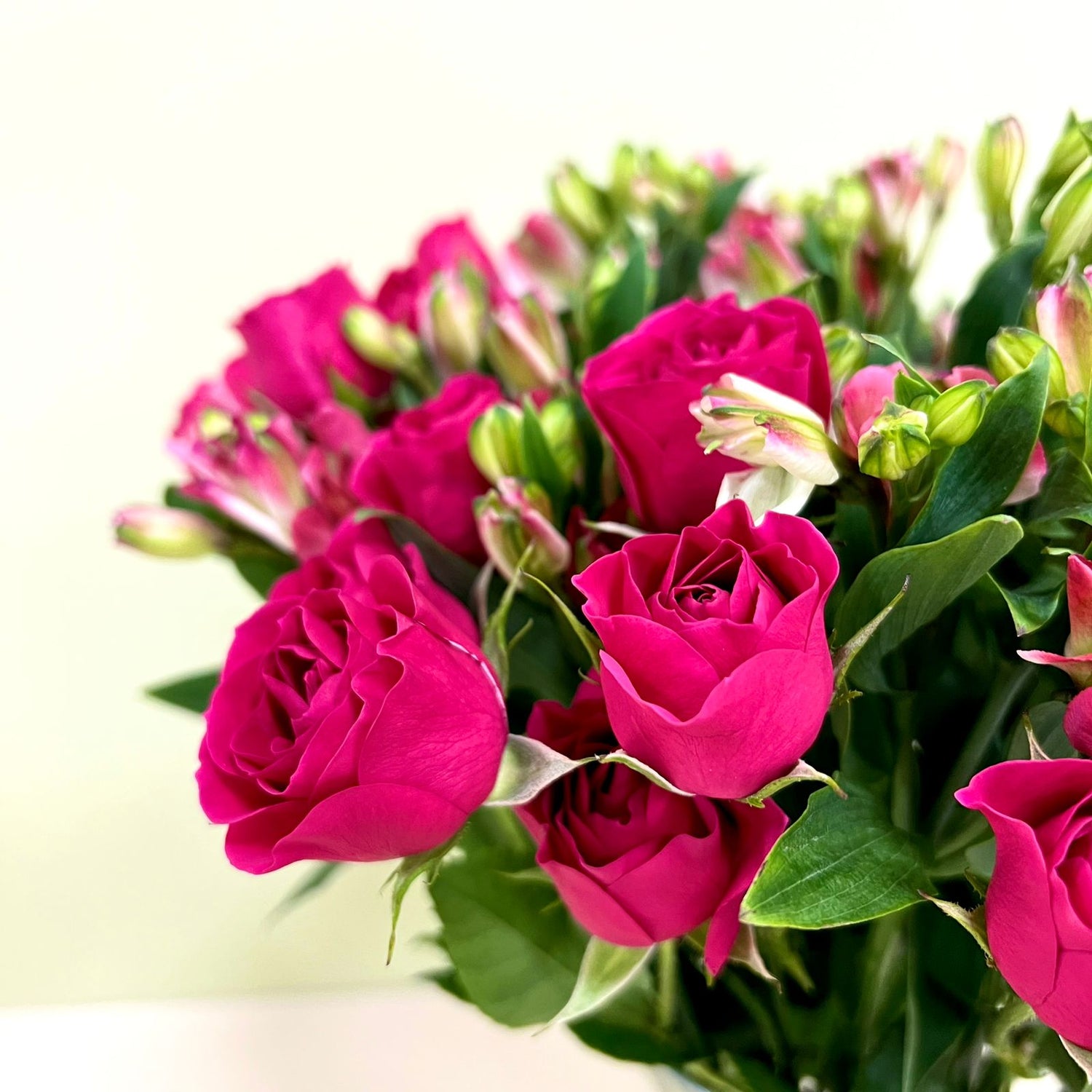 Nuestras Tiendas | Flores de ocoa