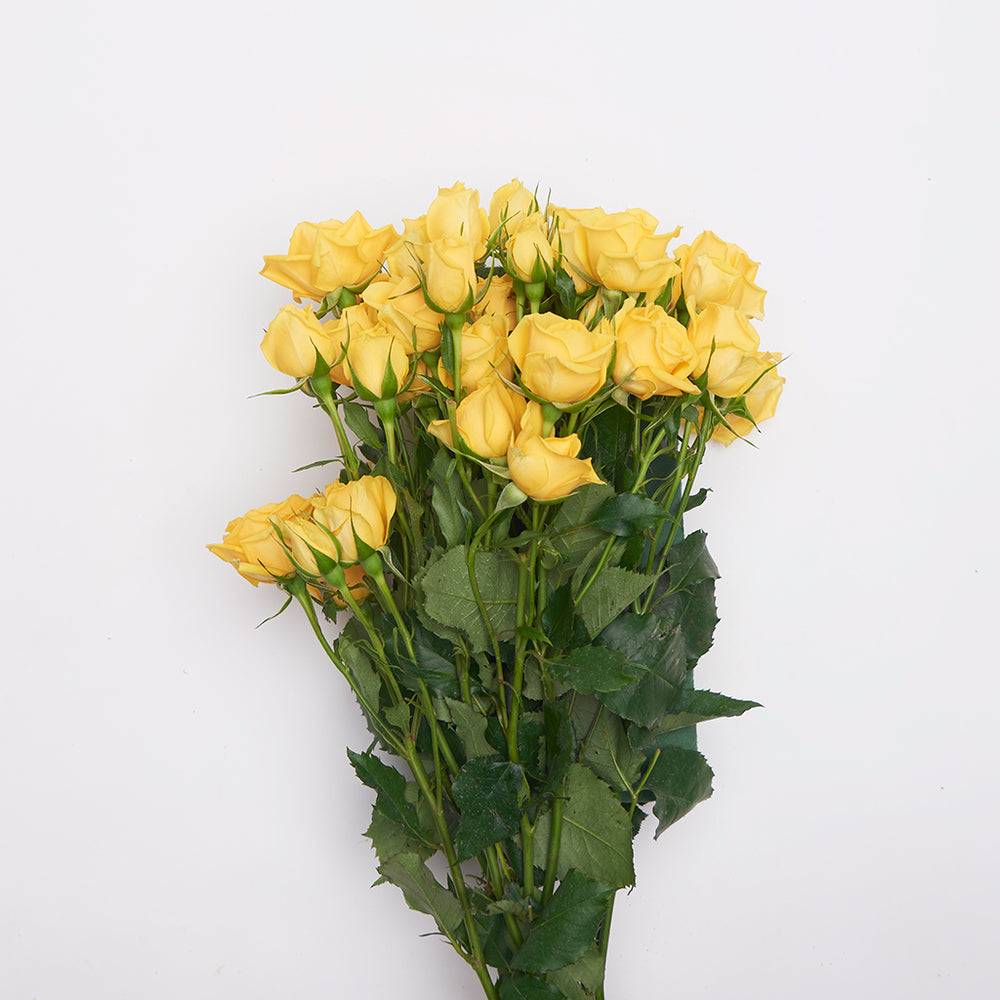 Flores Naturales | Despacho RM | Flores de ocoa